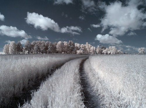 Photo № 94707. Photographer Maxim Evdokimov